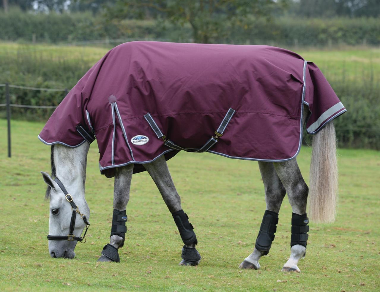 100g, 200g & 220g Covers — Horselands