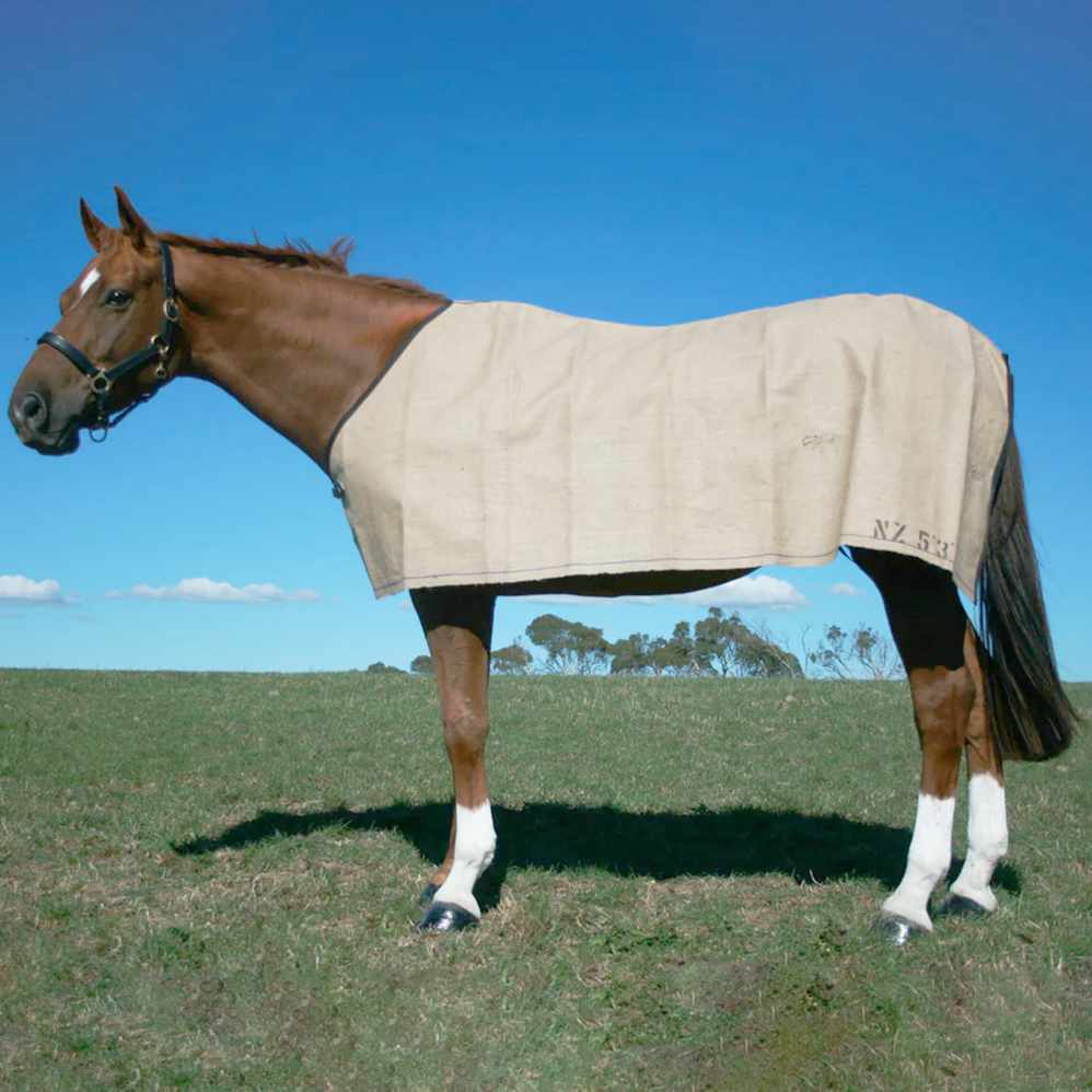 Chevalier New Zealand Made — Horselands