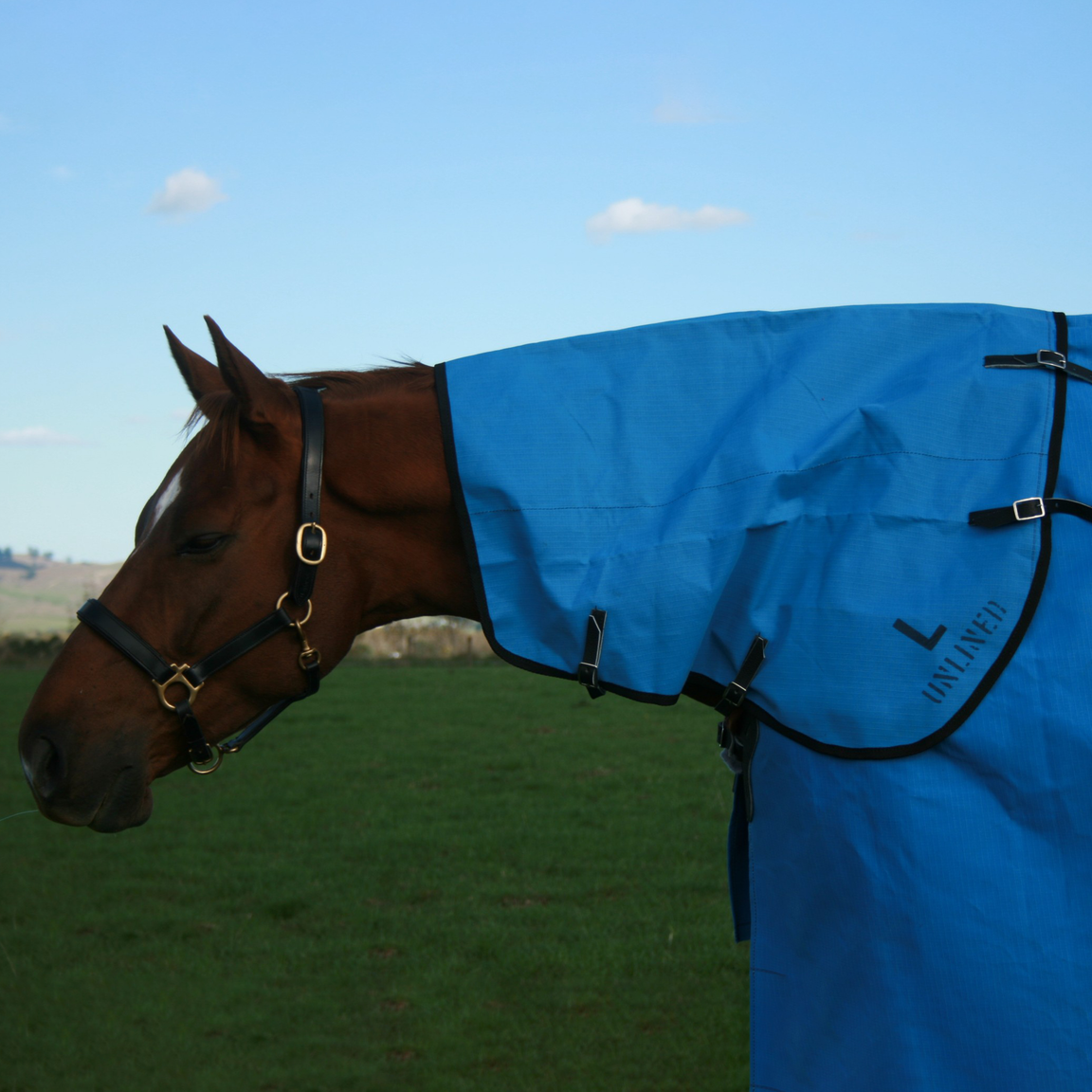 Chevalier New Zealand Made — Horselands