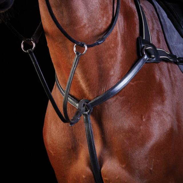 Collegiate Breastplate Five Point — Horselands