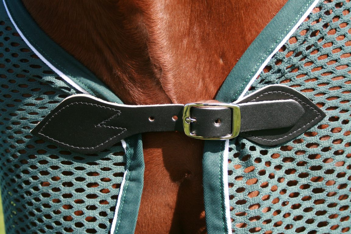 Chevalier Covers & Accessories — Horselands