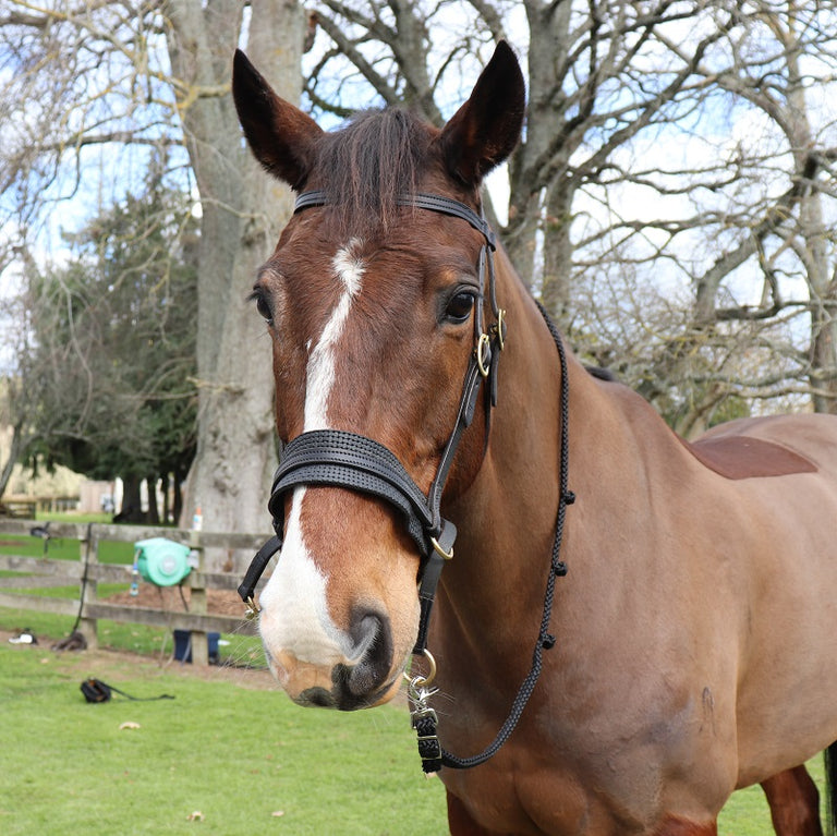 Bridles — Horselands