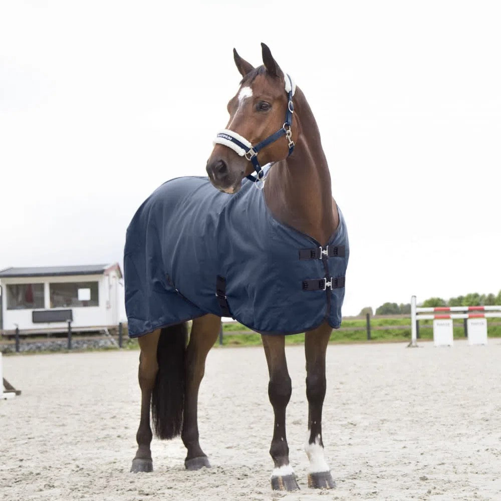 Horze Monaco Stable Sheet — Horselands