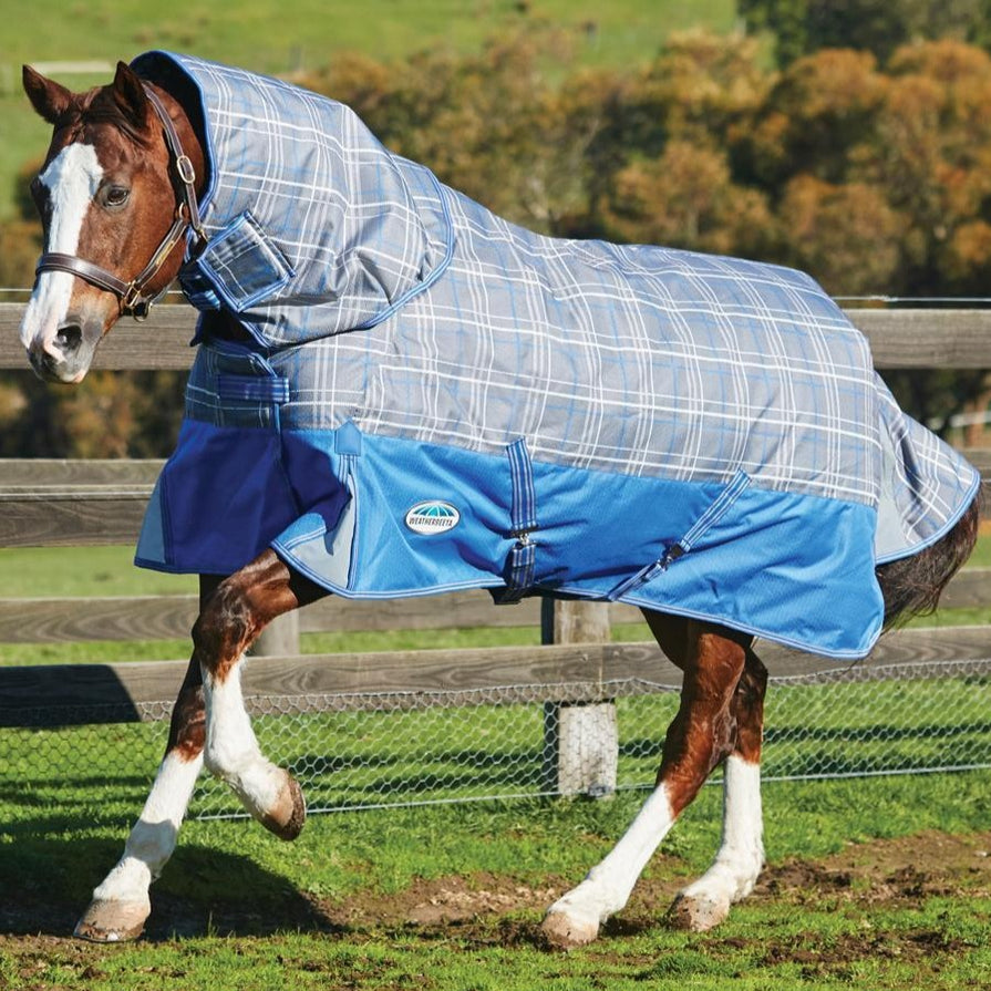 Weatherbeeta Rugs — Horselands