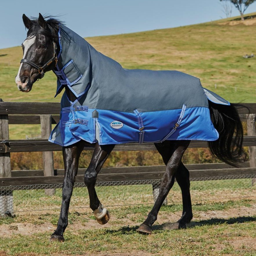 Weatherbeeta Rugs — Horselands