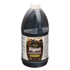 Vigest — Horselands