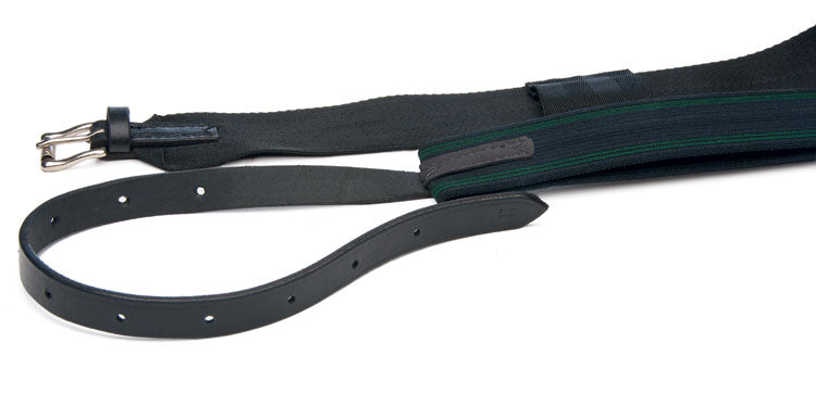 Chevalier NZ Surcingle - Double Elastic - Web and Leather — Horselands