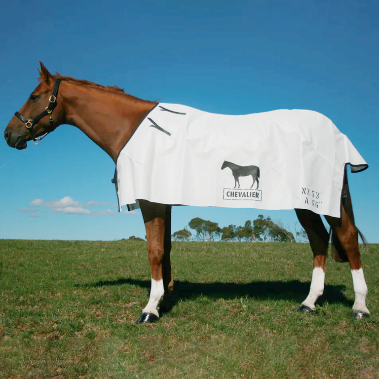 Chevalier Covers & Accessories — Horselands