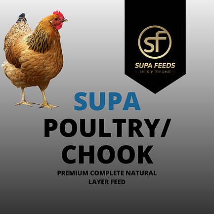 Supa Poultry Chook — Horselands